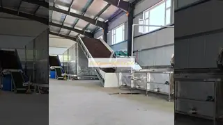 EcoGuard Pulse Bag Filter Industrial Dust Removal Solution