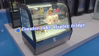 Commercial Glass Door Freezer 250L Efficient Cooling