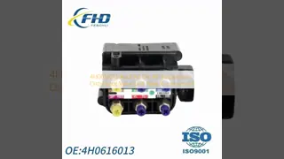 Fix Audi Air Suspension 4H0616013 Valve Block Replacement