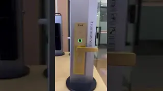 S869 Gold Color CNC Slim Plate Face Recognition  Palm Vein Unlock Tuya Door Lock 