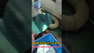 butterfly two-way mirror