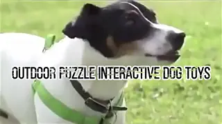 Interactive Pet Treat Launcher Toy for Dogs and Cats