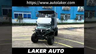 High-End Luxury Electric Golf Cart with Custom Sunshade Curtain