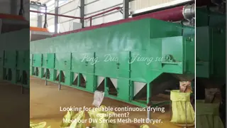 DW Series Mesh Belt Dryer High Capacity Drying Solution