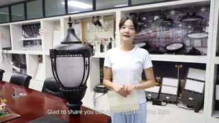 Best Outdoor LED Post Top Light Durable Garden Lighting