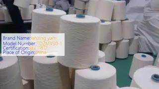 Premium Lenzing Viscose Yarn High Strength and Soft Finish