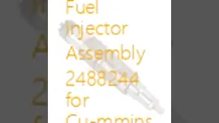 High Performance Fuel Injector Pump 2488244 For Diesel Engines