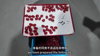 KMF600-2 Gummy Sorting Machine | Multi‑Category Defect Detection for Soft Candies