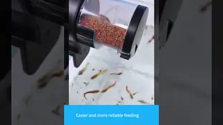 Automatic Fish Feeder Best Aquarium Food Dispenser