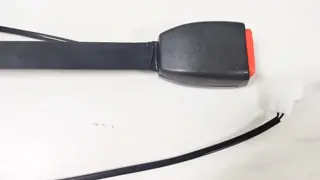 safety belt