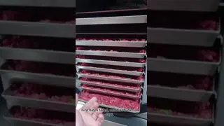 Elite Home Freeze Dryer Preserve Food