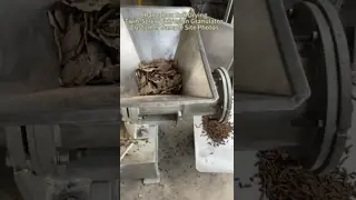 Changzhou Suli Drying Twin-Screw Extrusion Granulator Customer On-Site Sample Testing
