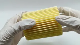 Oil Filter Element