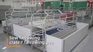 sow farrowing crate / farrowing pen
