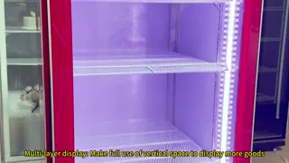 Efficient Commercial Glass Door Freezer 250L