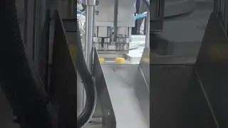 Fully Automatic Rotary Bottle Capping Machine Solution