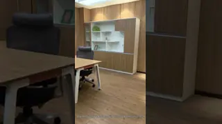 Custom Modern Executive Office Desk with Storage Solution