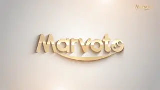 Marvoto Fetus Camera M1- 3D Handheld Ultrasound