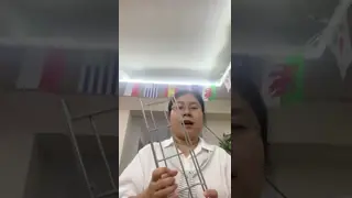 flextray wire mesh basket tray factory