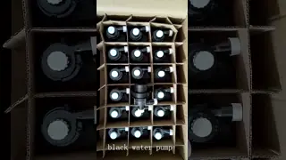 black water pump