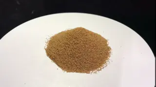 Eco Friendly Olive Shell Abrasive for Metal Polishing