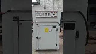 Industrial Batch Curing & Drying Oven