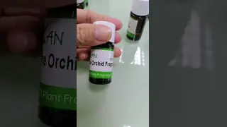 Cactus Fragrance Oil for Stable Shampoo and Soap Making