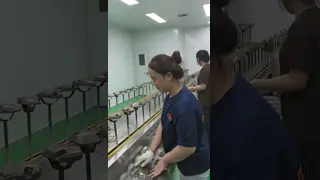 Coattech High-Precision Cleanroom Conveyor Packaging Line For Advanced Manufacturing