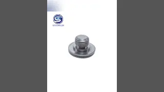 Precision Stainless Steel Quick Release Screws