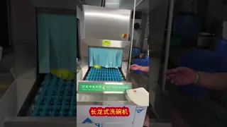 Application Site of Customized Flight Conveyor Dishwasher for Client