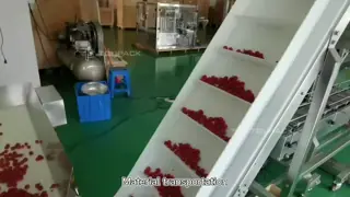Automatic Small Fruit Box Filling System: Complete Weighing and Packaging Solution