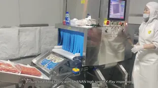 SHANAN Food X Ray Machine Fast Contaminant Detection