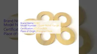 SS316 Graphite Spiral Wound Gasket for Raised Face Flanges