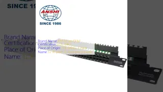 Professional 12 Port Network Patch Panel Solution