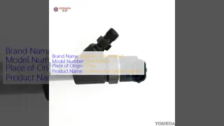 0445110603 Fuel Injector for D06FR Engine and SY245