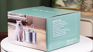 Best Stainless Steel Pet Water Fountain for Cats and Dogs