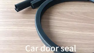 Car door seal1