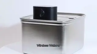Best Cordless Stainless Steel Pet Water Fountain