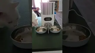 Smart WiFi Automatic Pet Feeder for Cats and Dogs