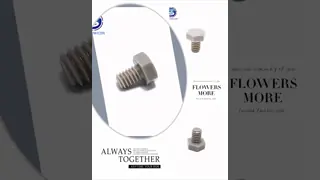 PEEK Low Profile Hex Screw for Precision Assembly