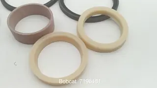 BCK-7196481 Seal Kit