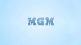MGM Vacuum Glass Production Line