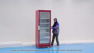 Glass Door Freezer/Refrigerator