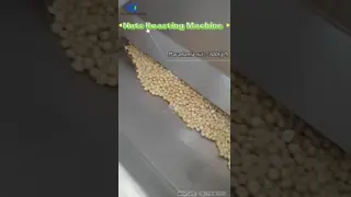 Continuous Hawaiian nut/Peanut oven/Large Belt-type Roaster/Full automatic nut baking machine