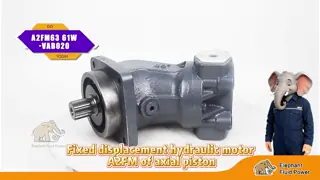 Oem Quality A2FM63 Rexroth Series 6 Axial Piston Fixed Motor Factory Price Shipment Fast Showcase