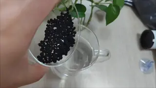 Boost Crop Yields With Amino Acid Paste Fertilizer