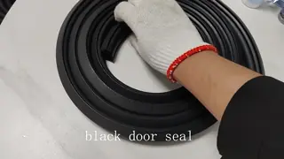 door seal