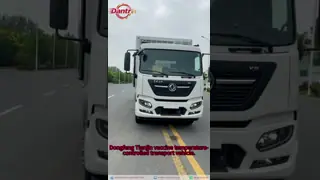 Inside a Day Old Chick Transport Truck | Dongfeng 7.7M Poultry Carrier Interior Tour
