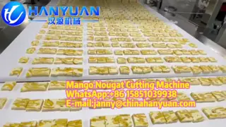 Have you seen such a compact full automatic candy production workshop?