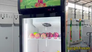 Custom Branded Glass Door Beverage Display Cooler | Factory Direct Refrigeration Solution